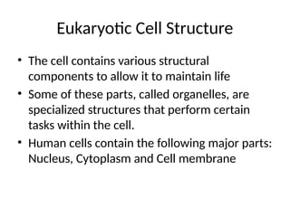 Organization of Eukaryotic Cell Structure | PPTX