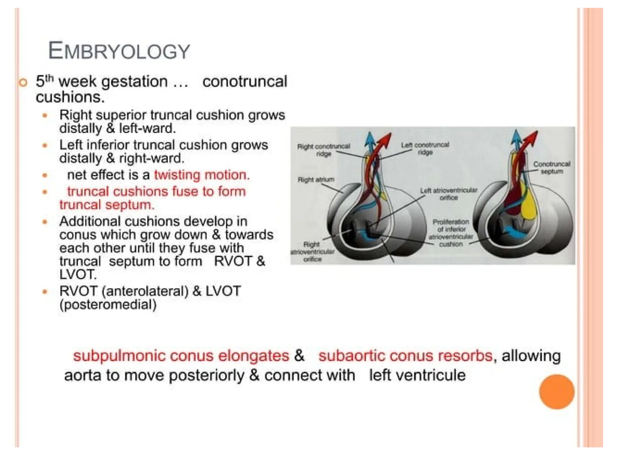 TGA_-_ARUN.Cardiology pediatric pptx | PPT