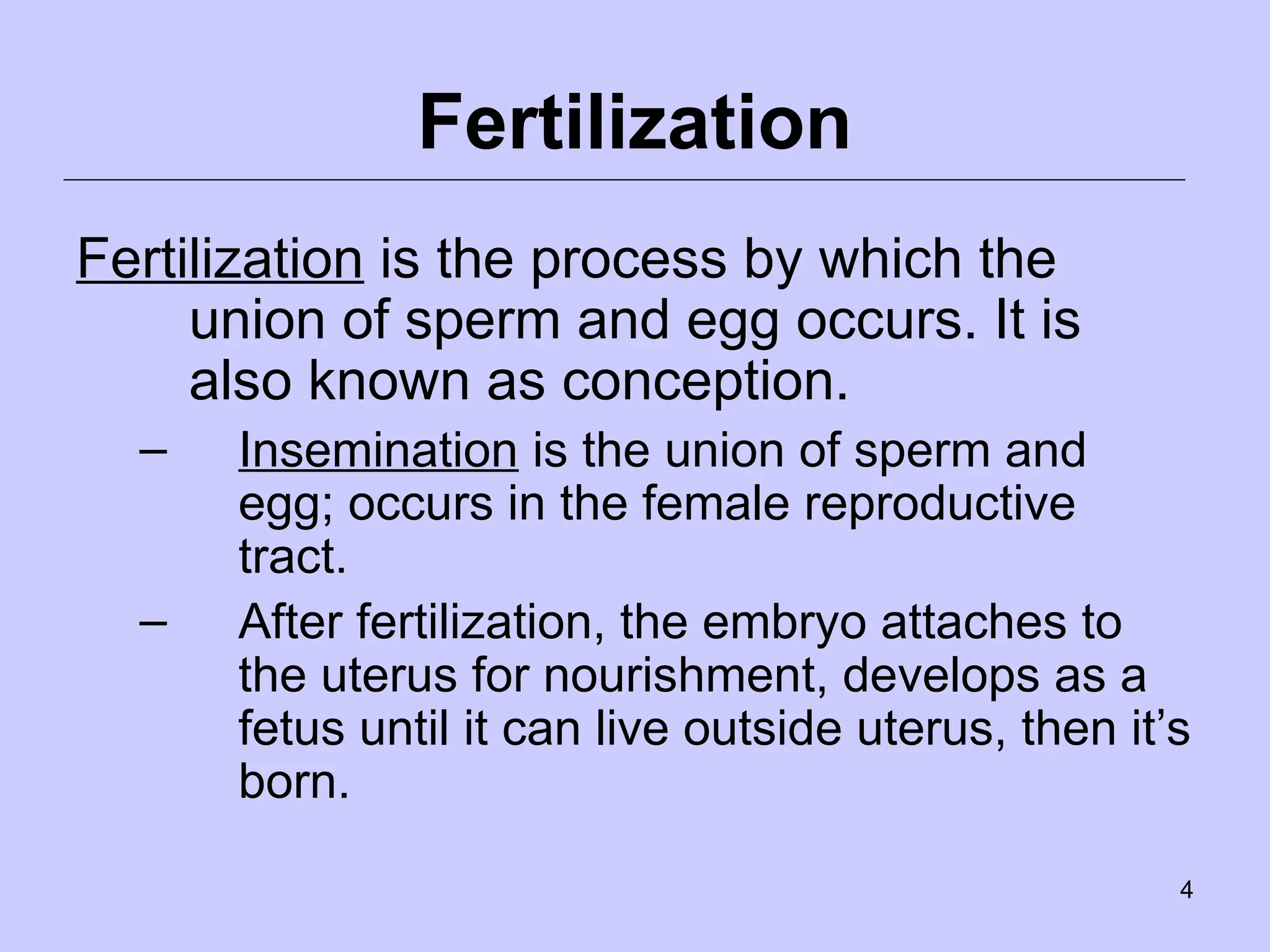 PIG REPRODUCTIVE SYSTEM ITS ANATOMY AND PHYSIOLOGY | PPT