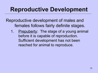 PIG REPRODUCTIVE SYSTEM ITS ANATOMY AND PHYSIOLOGY | PPT