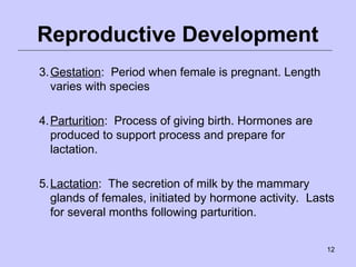 PIG REPRODUCTIVE SYSTEM ITS ANATOMY AND PHYSIOLOGY | PPT