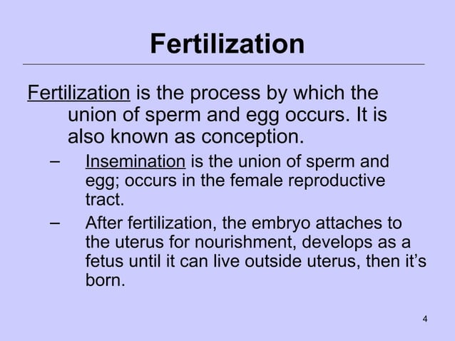 PIG REPRODUCTIVE SYSTEM ITS ANATOMY AND PHYSIOLOGY | PPT