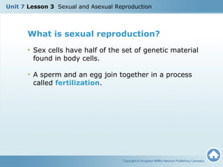 U7 L3 Sexual & Asexual Reproduction | PPT