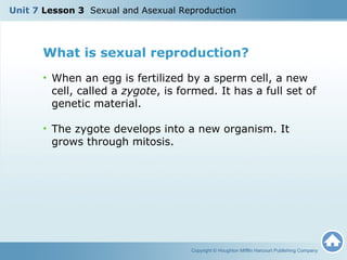 U7 L3 Sexual & Asexual Reproduction | PPT