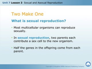 U7 L3 Sexual & Asexual Reproduction | PPT