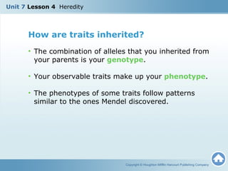 U7L4 Heredity | PPT