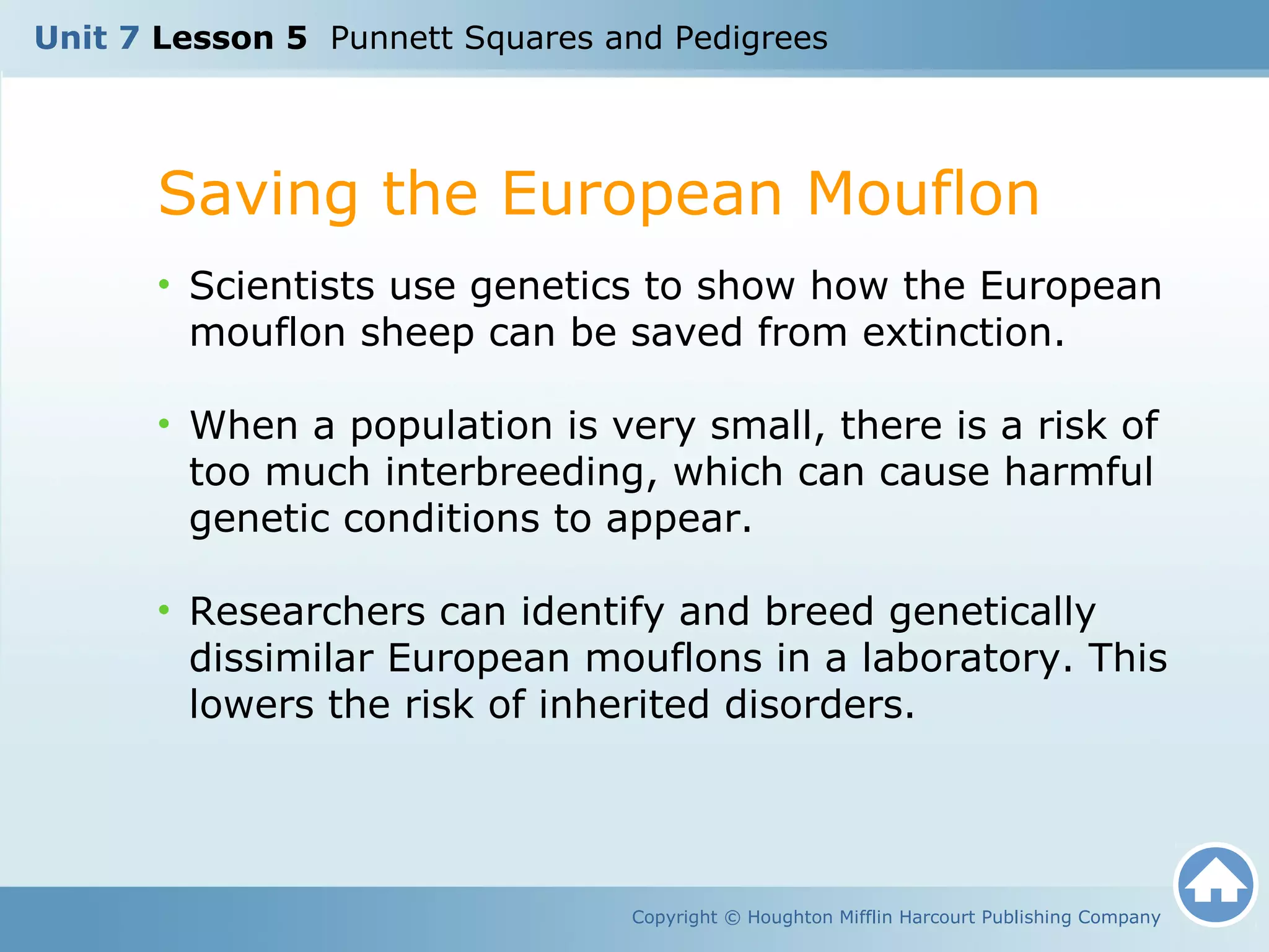 U7L5 Punnett Squares & Pedigrees | PPT | Genetics | Science