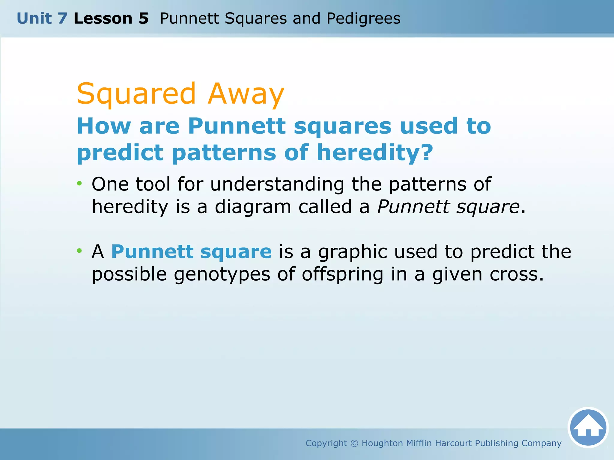 U7L5 Punnett Squares & Pedigrees | PPT