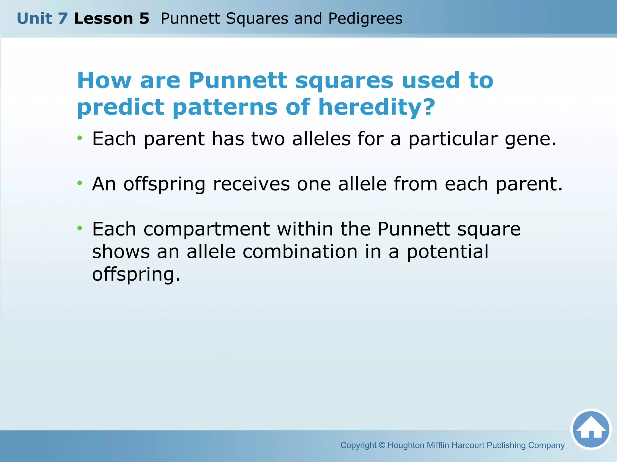 U7L5 Punnett Squares & Pedigrees | PPT | Genetics | Science