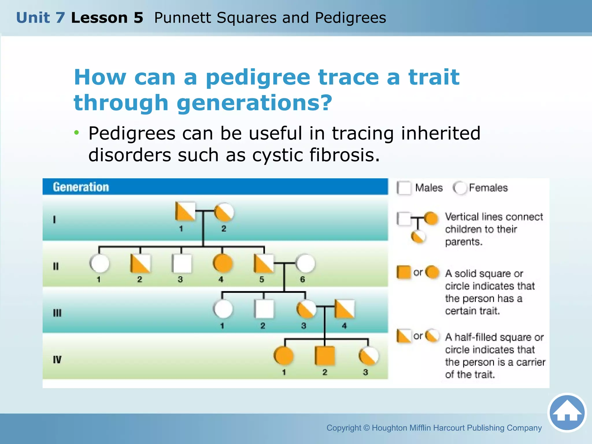 U7L5 Punnett Squares & Pedigrees | PPT