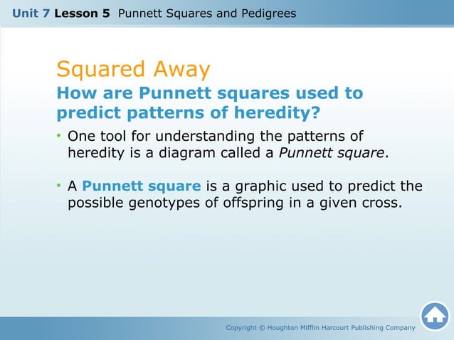 U7L5 Punnett Squares & Pedigrees | PPT | Genetics | Science