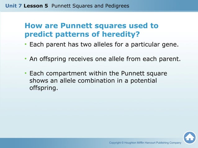 U7L5 Punnett Squares & Pedigrees | PPT | Genetics | Science