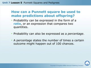 U7L5 Punnett Squares & Pedigrees | PPT | Genetics | Science