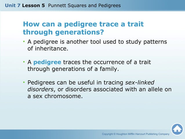 U7L5 Punnett Squares & Pedigrees | PPT | Genetics | Science