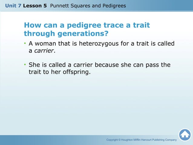 U7L5 Punnett Squares & Pedigrees | PPT | Genetics | Science