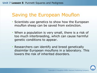 U7L5 Punnett Squares & Pedigrees | PPT | Genetics | Science