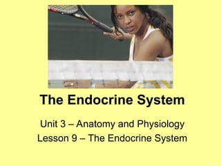 the endocrine system system endocrine ppt | PPT