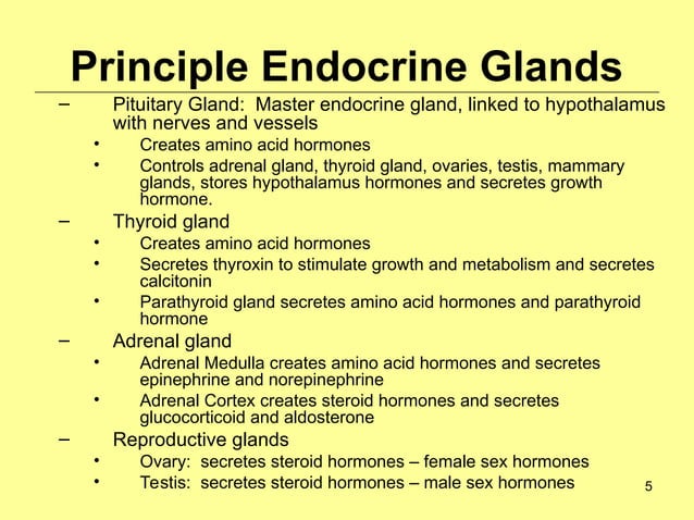 the endocrine system system endocrine ppt | PPT