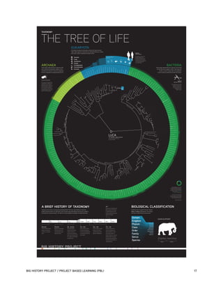 7.X Unit 7 - PBL | PDF