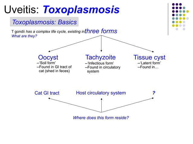 Toxoplasma gondii parasite of cat. .pptx