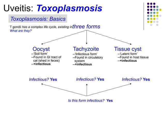 Toxoplasma gondii parasite of cat. .pptx