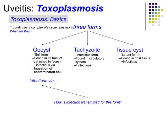 Toxoplasma gondii parasite of cat. .pptx