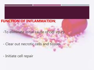 Anti Inflammatory drugs - Modern and Ayurveda | PPTX