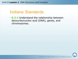 U8L1 DNA Structure & Function | PPT