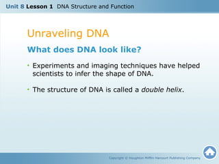U8L1 DNA Structure & Function | PPT
