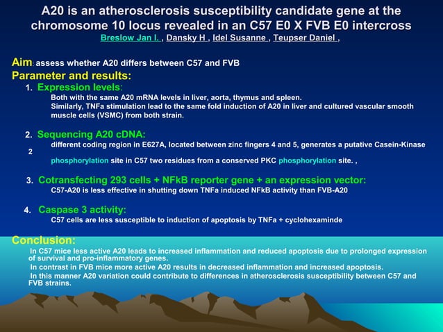 A20 Gene Ppt