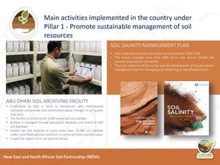 Item 2. National updates on soil - United Arab Emirates | PPT