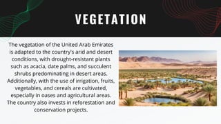 UNITED ARAB EMIRATES REVISED ENGLISH PROJECT | PPT