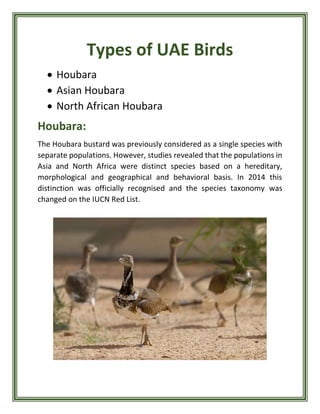 UAE Bird | Houbarafund | PDF | Birds | Pets