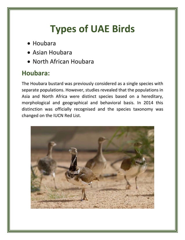 UAE Bird | Houbarafund | PDF