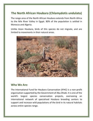 UAE Bird | Houbarafund | PDF | Birds | Pets