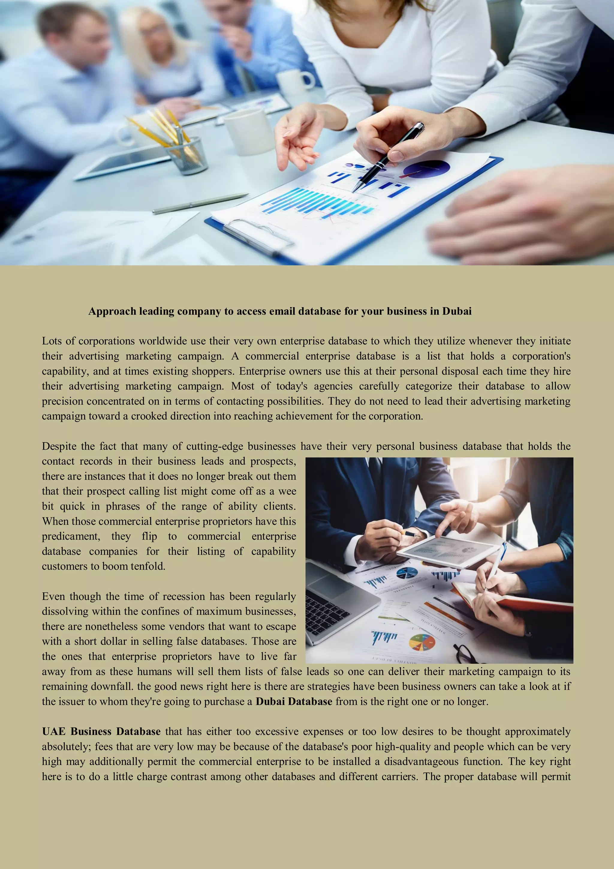 UAE Business Database | PDF