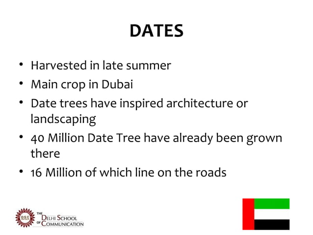 UAE Culture Presentation | PPT | World/International Music | Music
