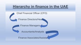UAE Finance Managers and Accountant Roles Duties and Salary Package | PPTX