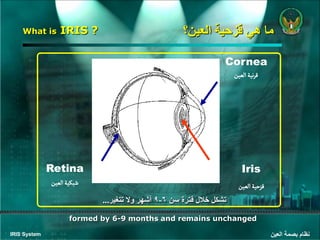 UAE IRIS System | PDF