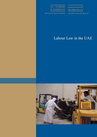 Uae labour law | PDF