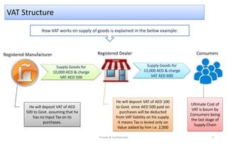 UAE VAT Insights Part - I | PDF