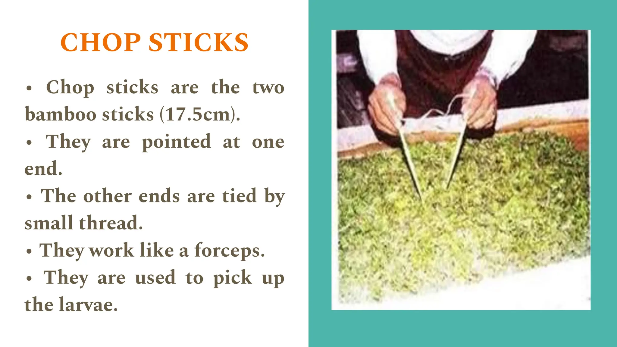 REARING EQUIPMENT IN SERICULTURE . pptx | PPTX