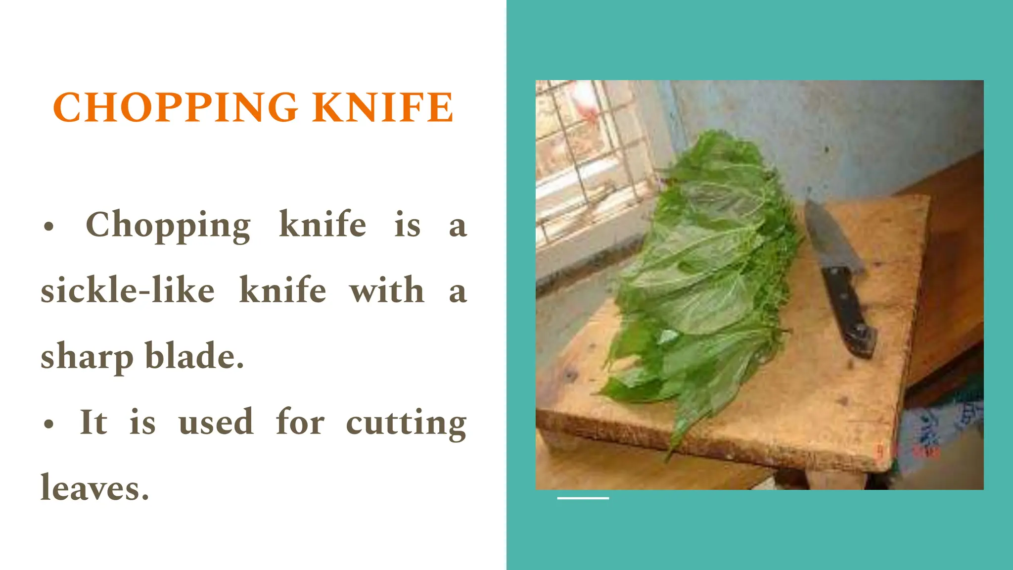 REARING EQUIPMENT IN SERICULTURE . pptx | PPTX