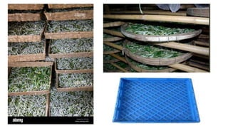 REARING EQUIPMENT IN SERICULTURE . pptx | PPTX