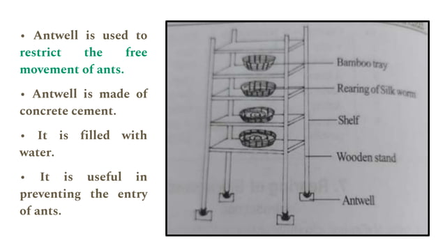 REARING EQUIPMENT IN SERICULTURE . pptx | PPTX