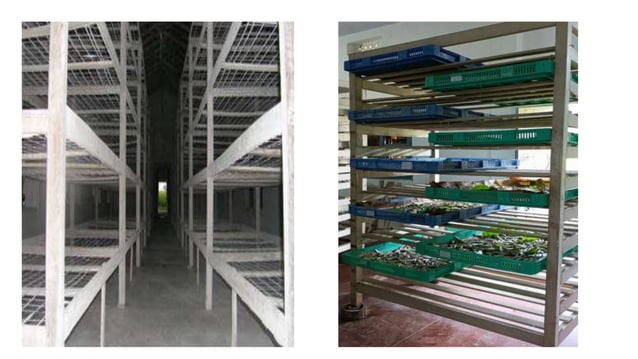 REARING EQUIPMENT IN SERICULTURE . pptx | PPTX