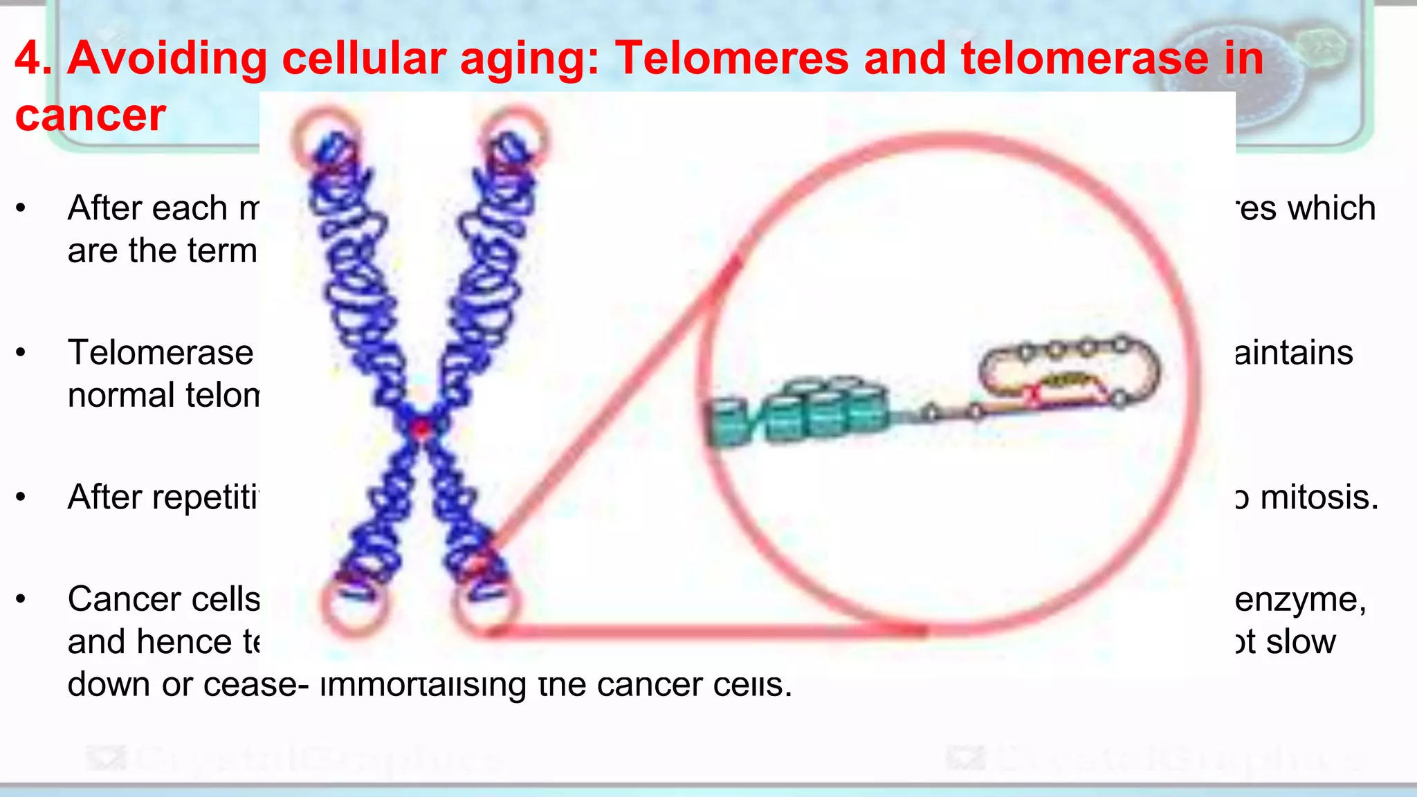 Carcinogenesis | PPTX