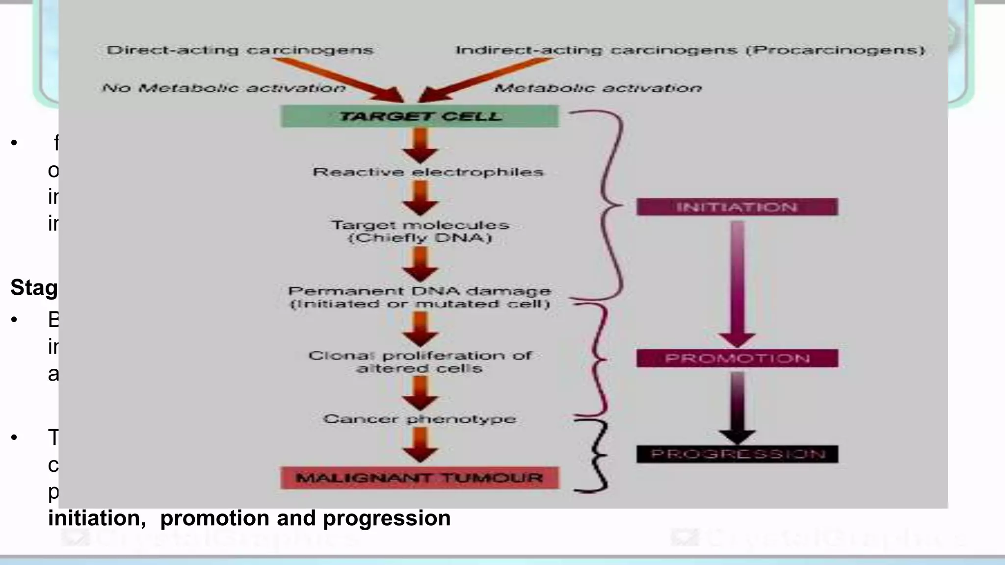 Carcinogenesis | PPTX