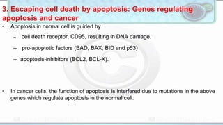 Carcinogenesis | PPTX