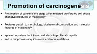 Carcinogenesis Initiation Promotion Progression